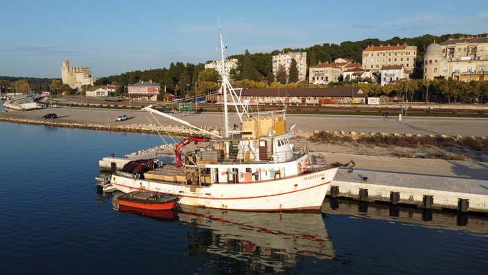 Fotogalerija :: plava.riba