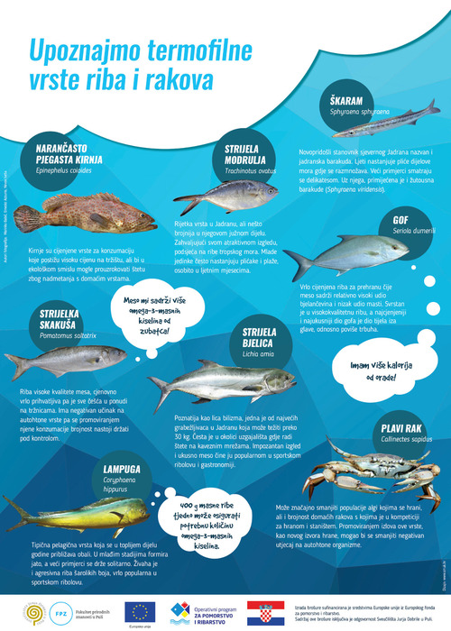 Vodič za prepoznavanje novopridošlih vrsta :: plava.riba